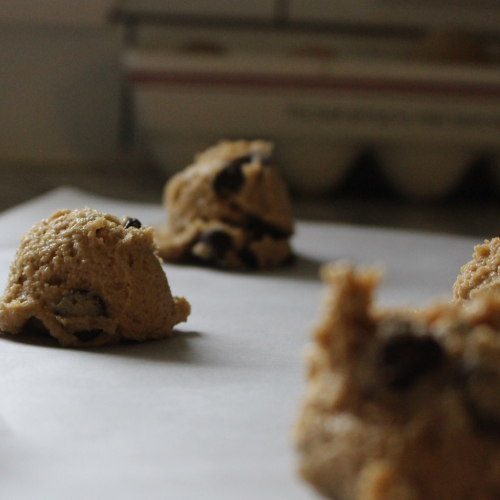 Simple Homemade Chocolate Chip Cookies with Fresh Milled Flour - The ...